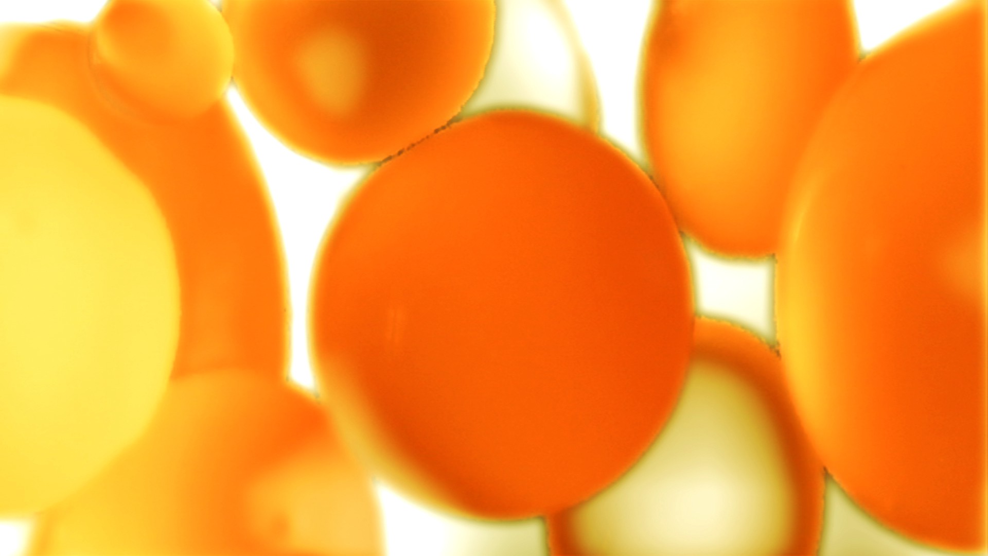 Citron by ArtAvant | ArtAvant